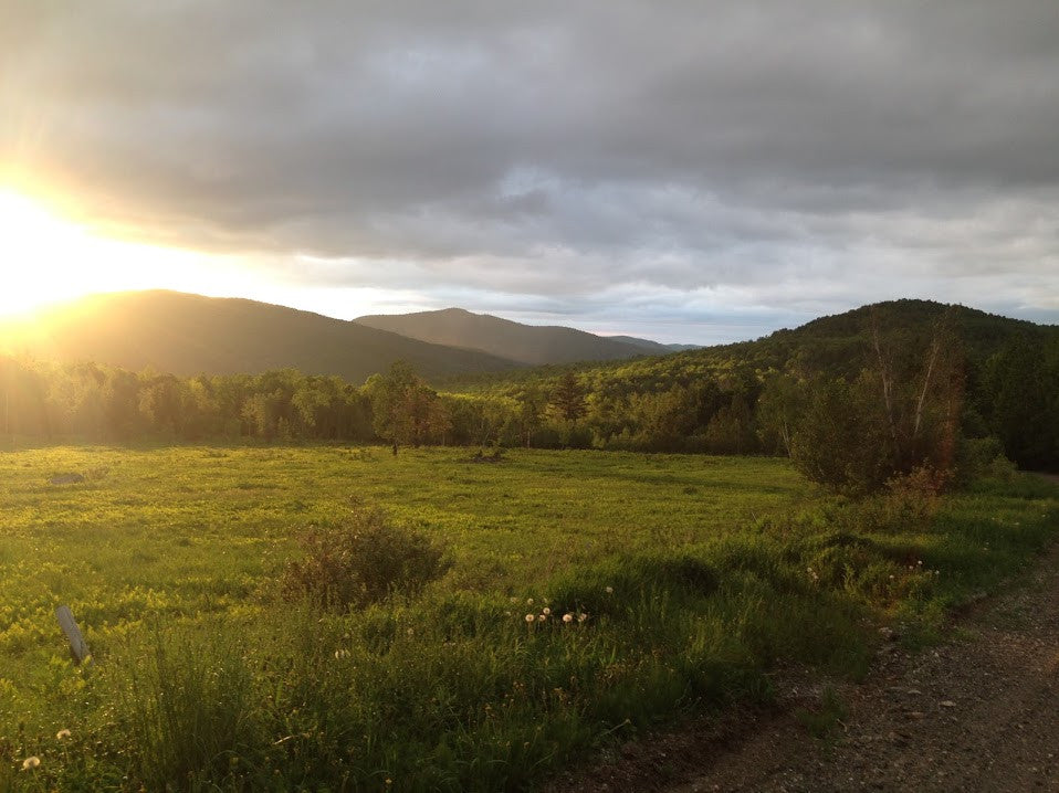 Our farm's COVID-19 plan- prevention and perseverance – Maple Wind Farm